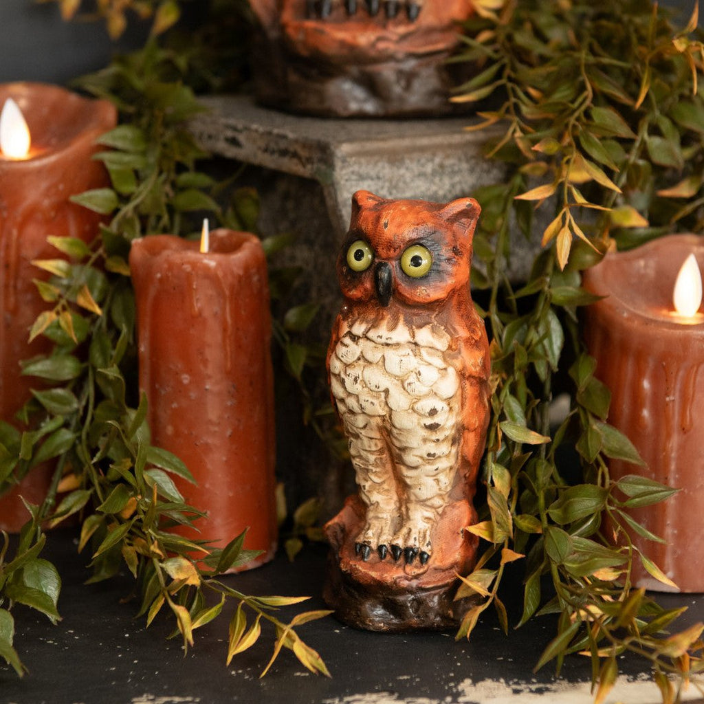 Oswald the Wee Owl – Hopeless Romantic